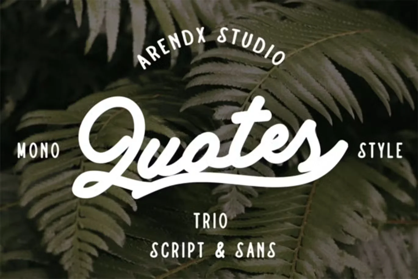 30+ Best Fonts For Quotes - Creative Ultra