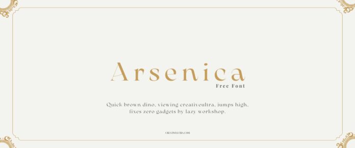 Canva’s Best Distorted Fonts For Edgy And Modern Looks