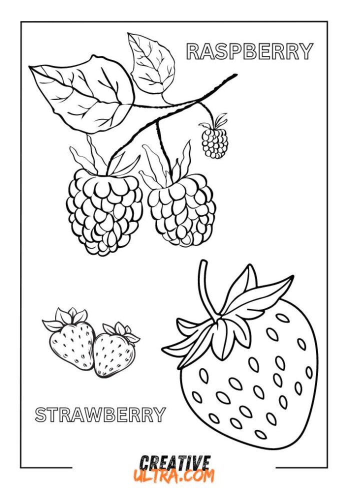 10 Fruits Coloring Page (Free Download)