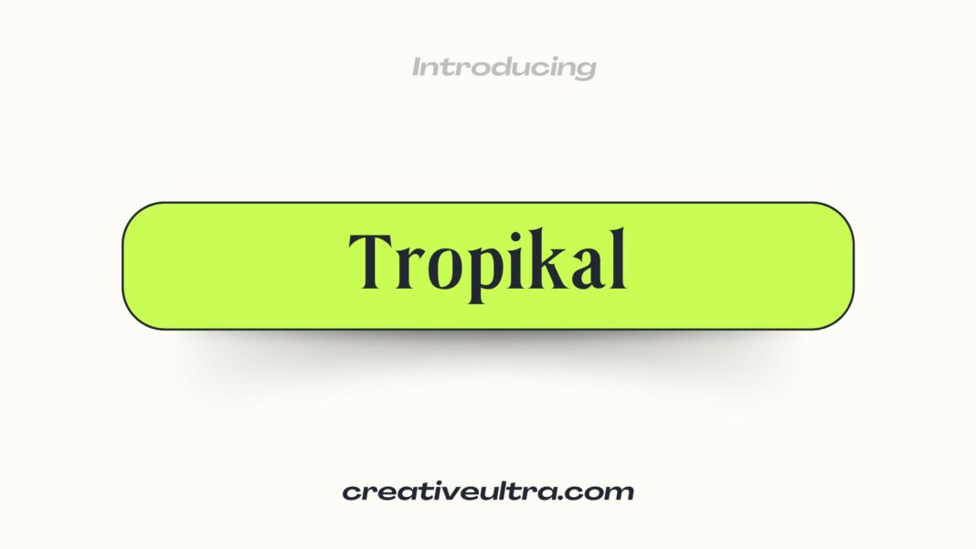 12 Best Canva Fonts For Posters - Creative Ultra