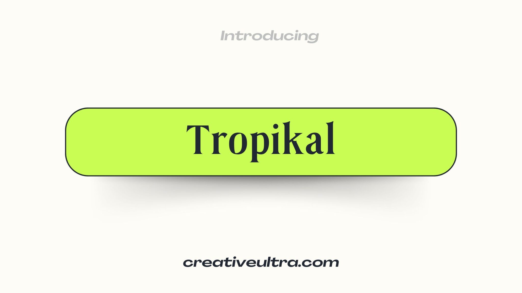 12 Best Canva Fonts For Posters - Creative Ultra