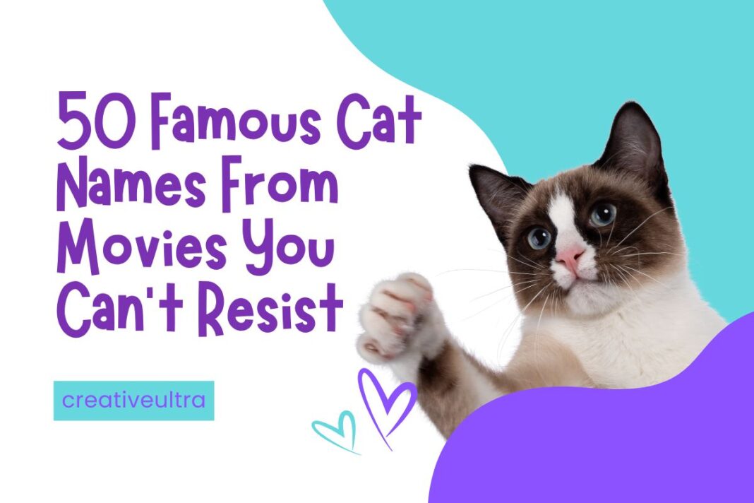 50 Famous Cat Names From Movies You Can’t Resist