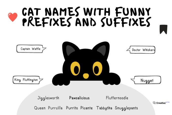125 Funny Cat Names That’ll Make You Laugh