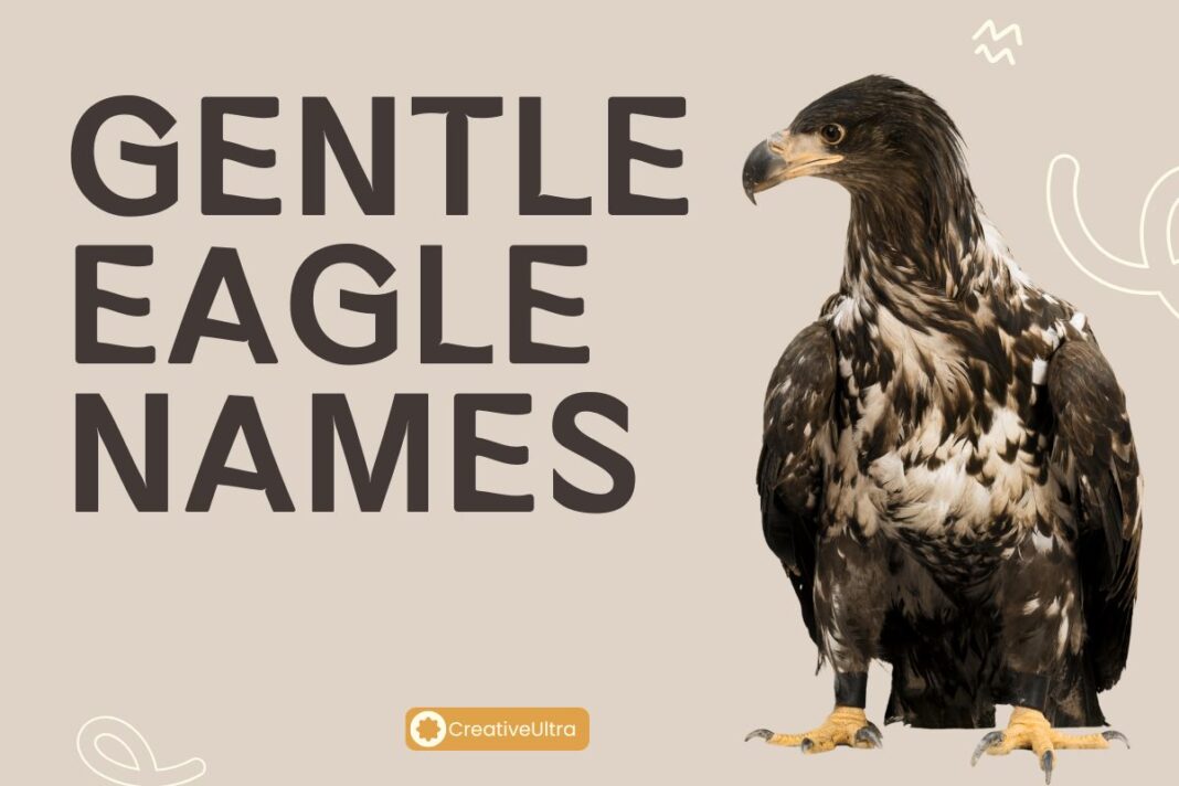 Top 225 Eagle Names For Bird Lovers + Generator