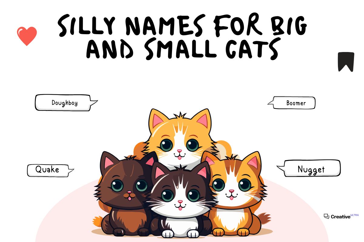 125 Funny Cat Names That’ll Make You Laugh