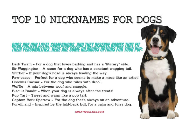50 Funny Animal Nicknames To Give Your Wild Friends