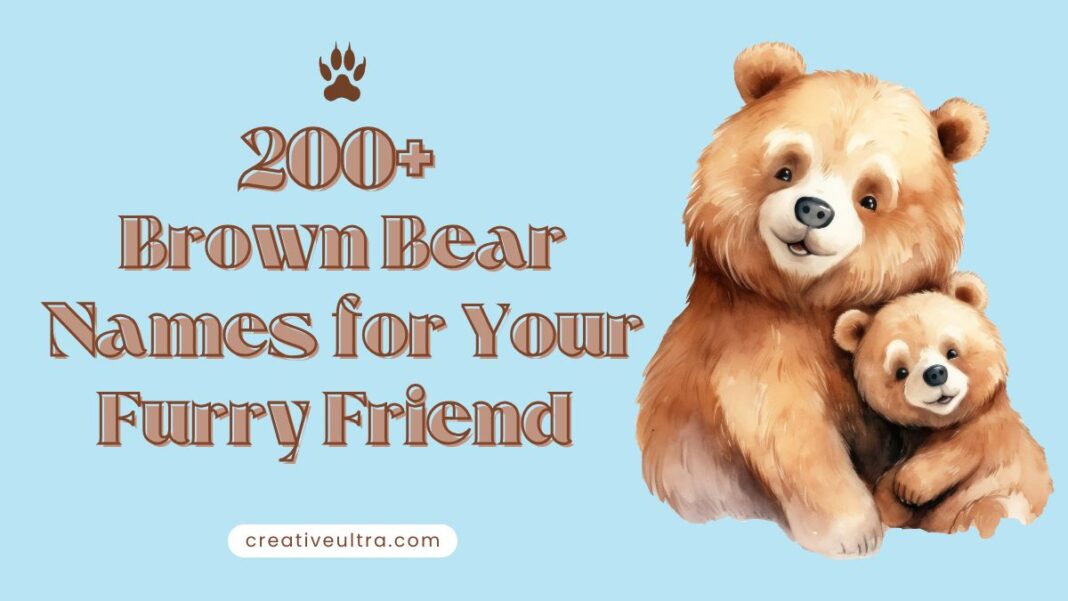 200+ Brown Bear Names For Your Furry Friend (With Meaning)