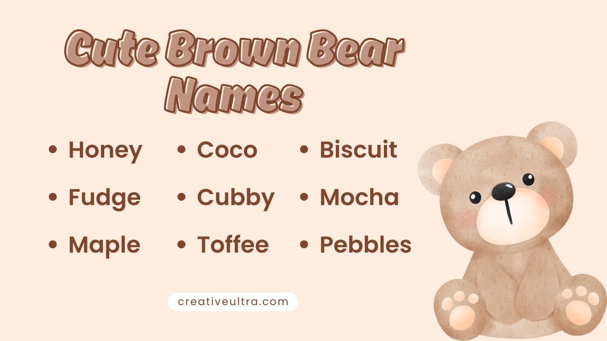 200+ Brown Bear Names For Your Furry Friend (With Meaning)