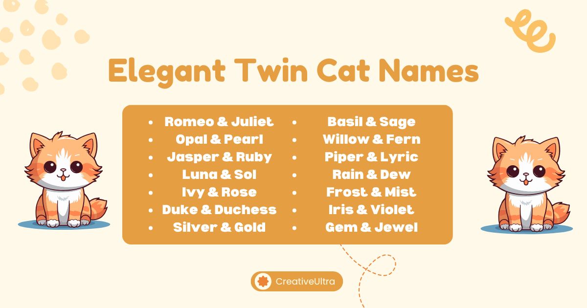 100+ Perfect Twin Cat Names For Your Furry Duo