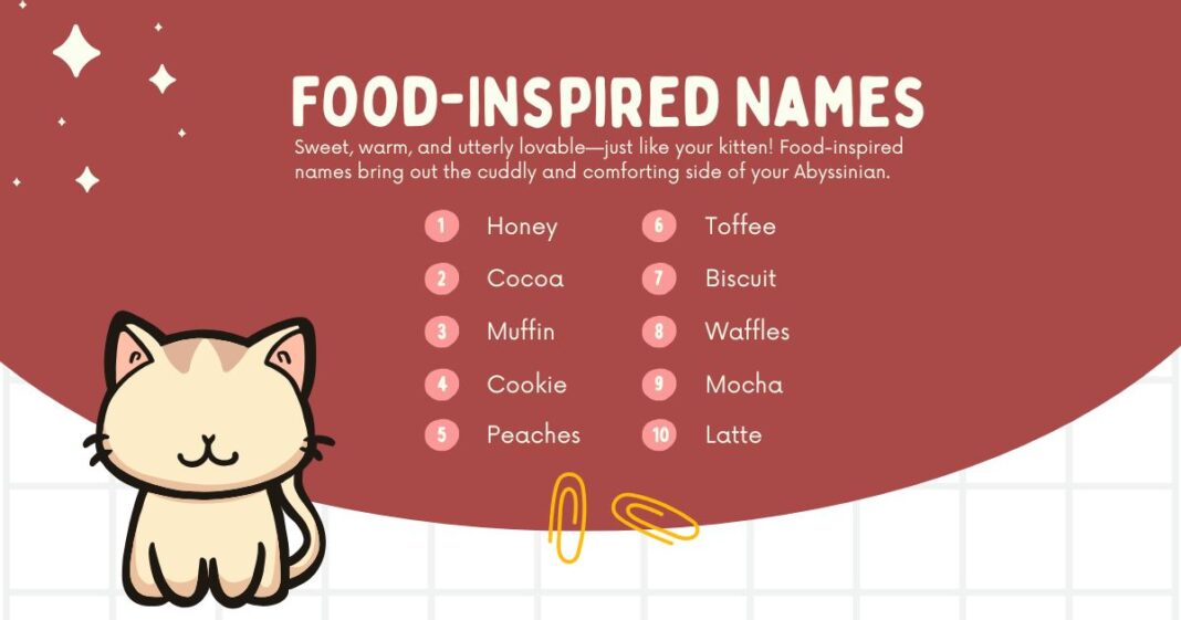 150 Cute Names Good For Your Abyssinian Kitten Queen