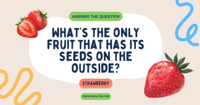 66 Fun Questions And Answers Trivia For 5th Graders